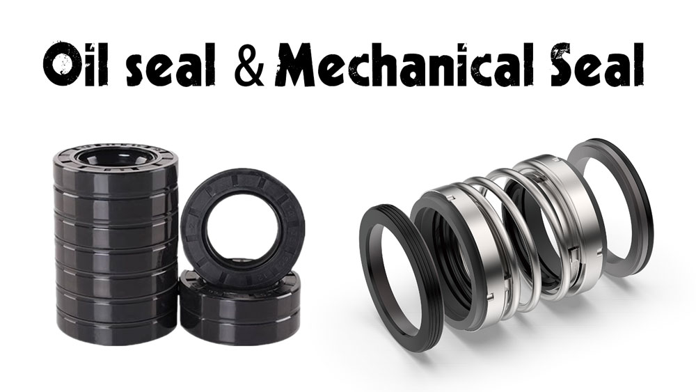 What Seals Are Commonly Used in Domestic Water Pumps?