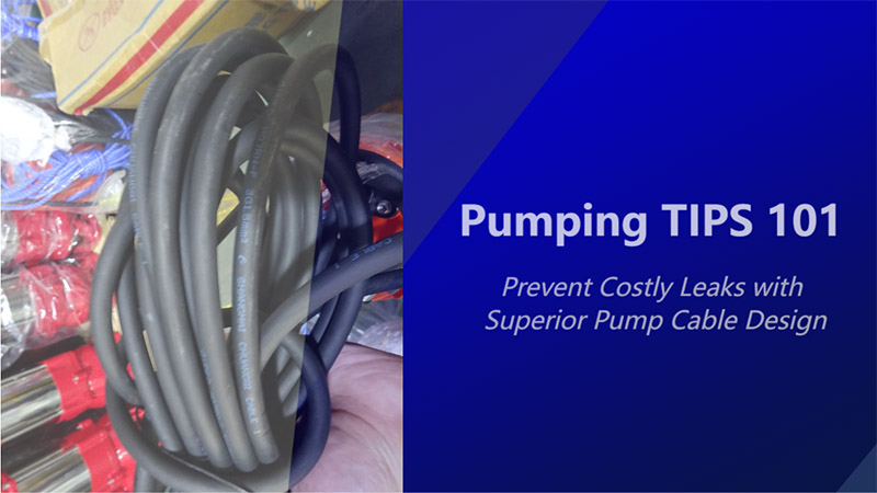 About Water Pump Knowledge