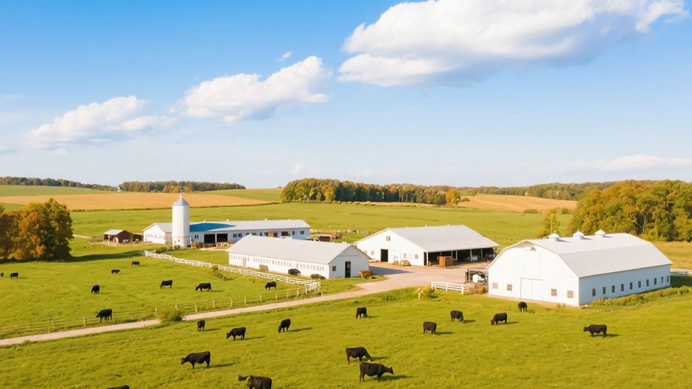 Comprehensive Water Pump Solutions for Dairy Farms
